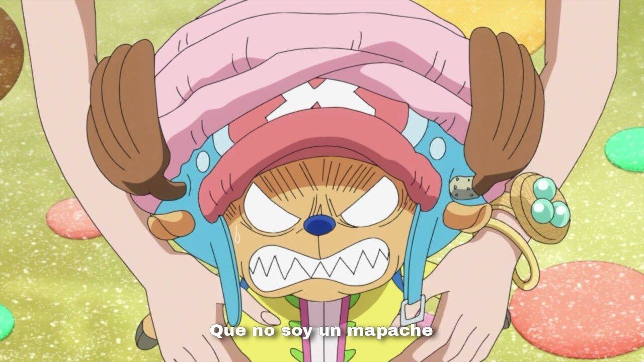 Hoy es el cumpleaños de Tony Tony Chopper | One Piece