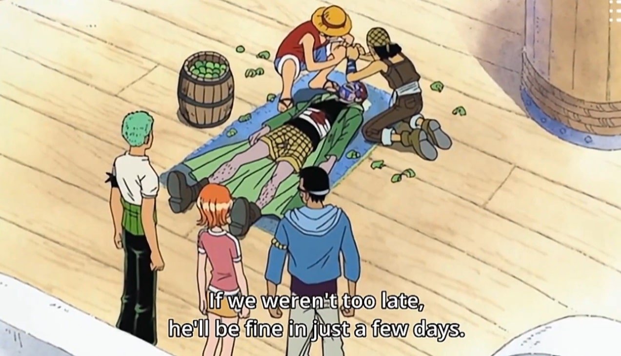 Cumpleaños de Johnny | One Piece