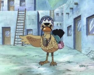 Cumpleaños de Karoo | One Piece