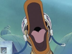 Cumpleaños de Karoo | One Piece