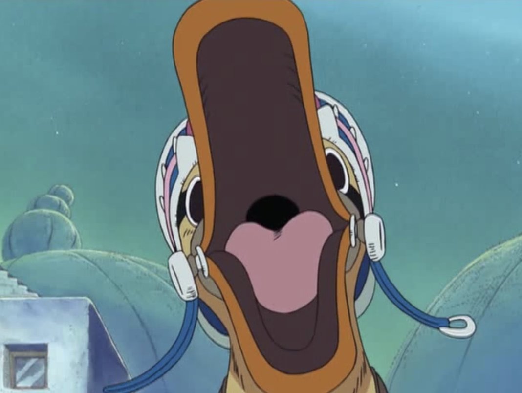 Cumpleaños de Karoo | One Piece