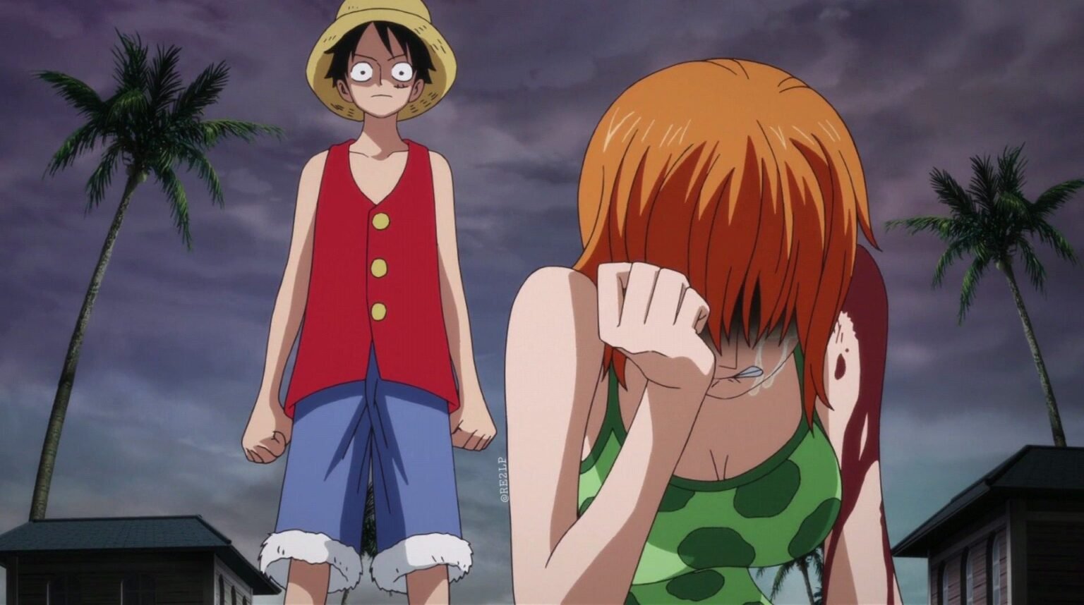 Nami, la Gata Ladrona | One Piece