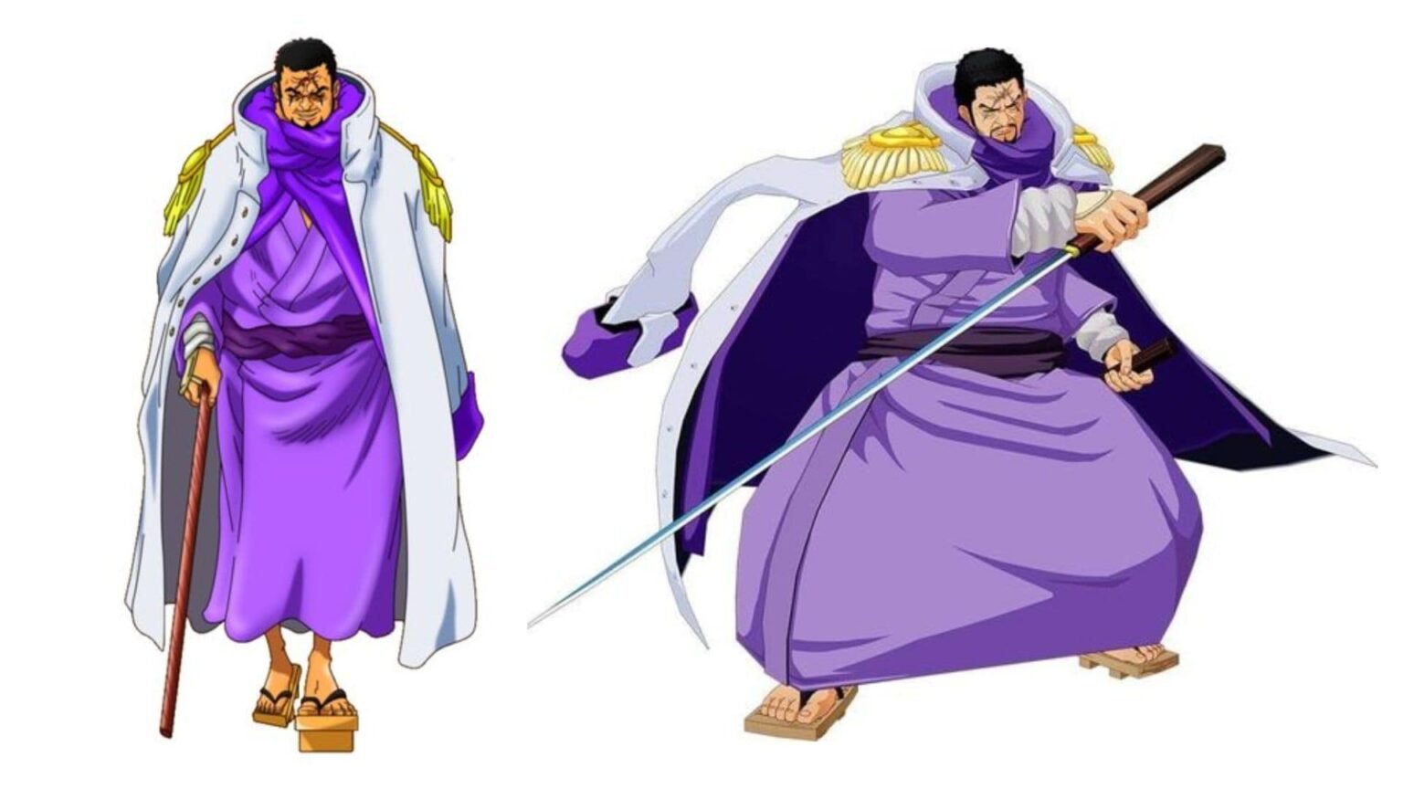 El almirante de la Marina, Issho | One Piece